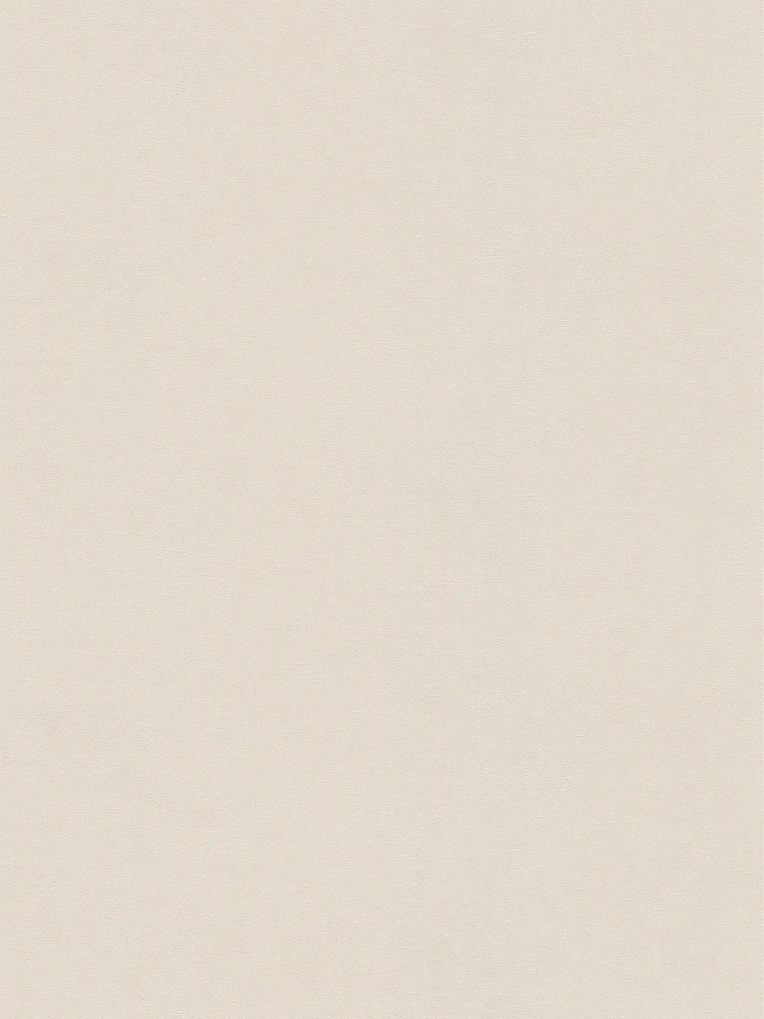 A.S. Création Wallpaper Deluxe